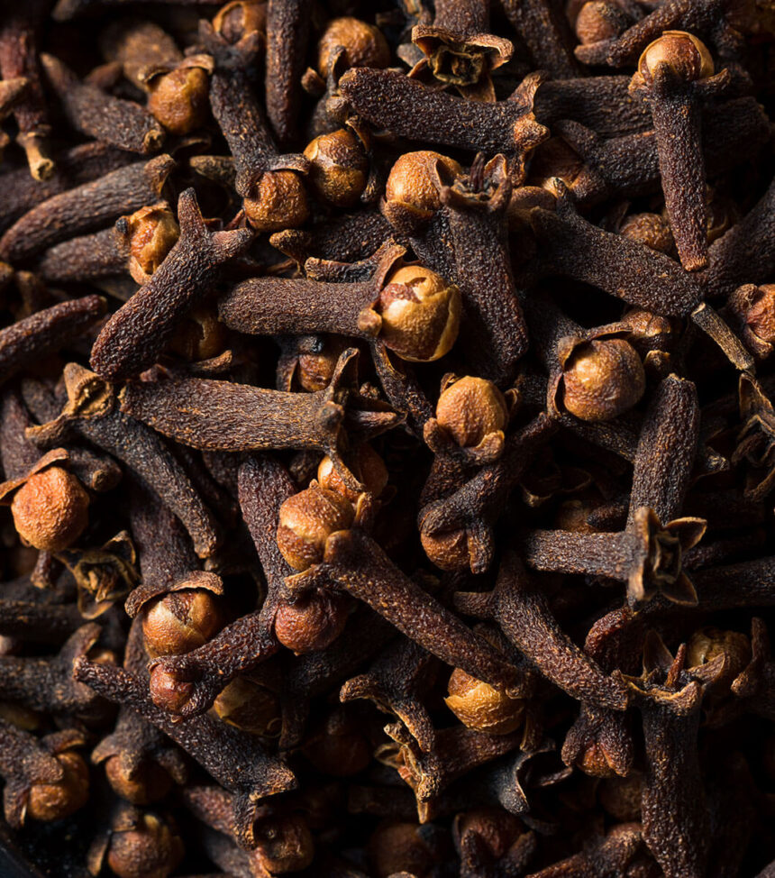 CLAVO DE OLOR – Yin Yang Argentina