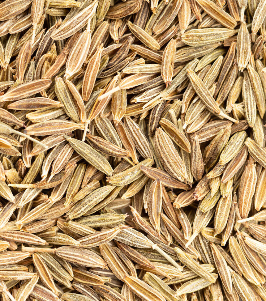 COMINO EN GRANO – Yin Yang Argentina