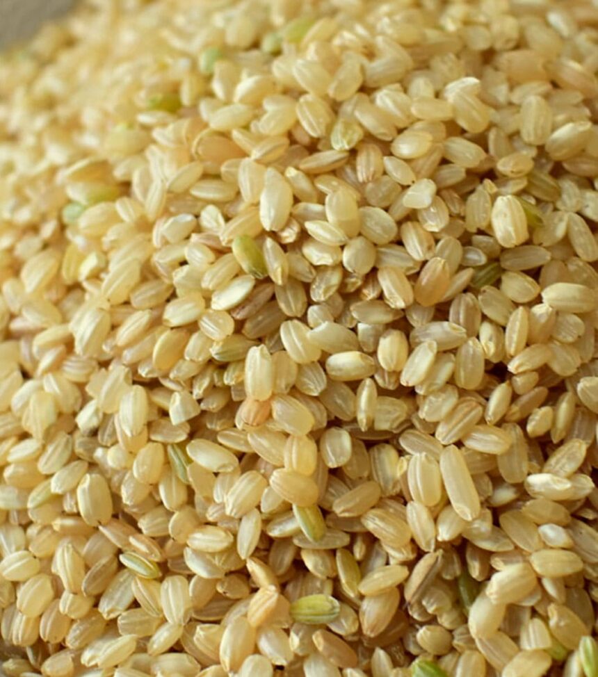 ARROZ YAMANI INTEGRAL – Yin Yang Argentina