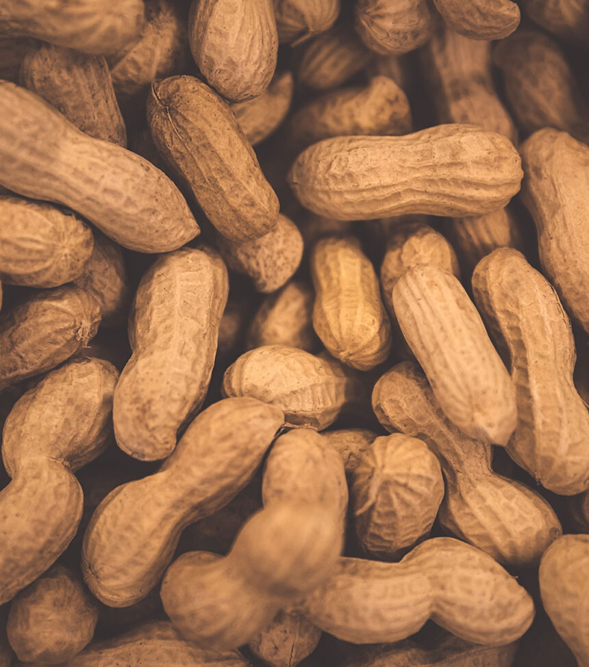 MANI CON CASCARA TOSTADO – Yin Yang Argentina