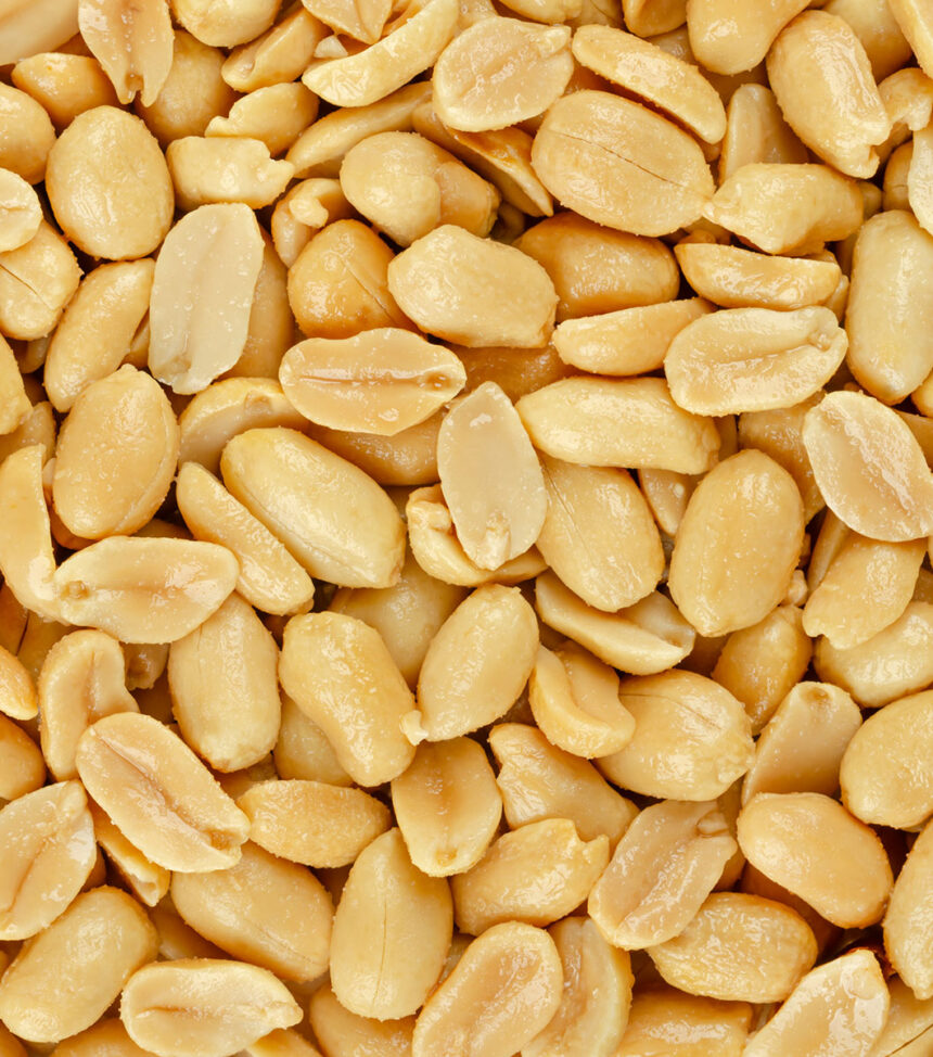 MANI REPELADO TOSTADO CON SAL – Yin Yang Argentina